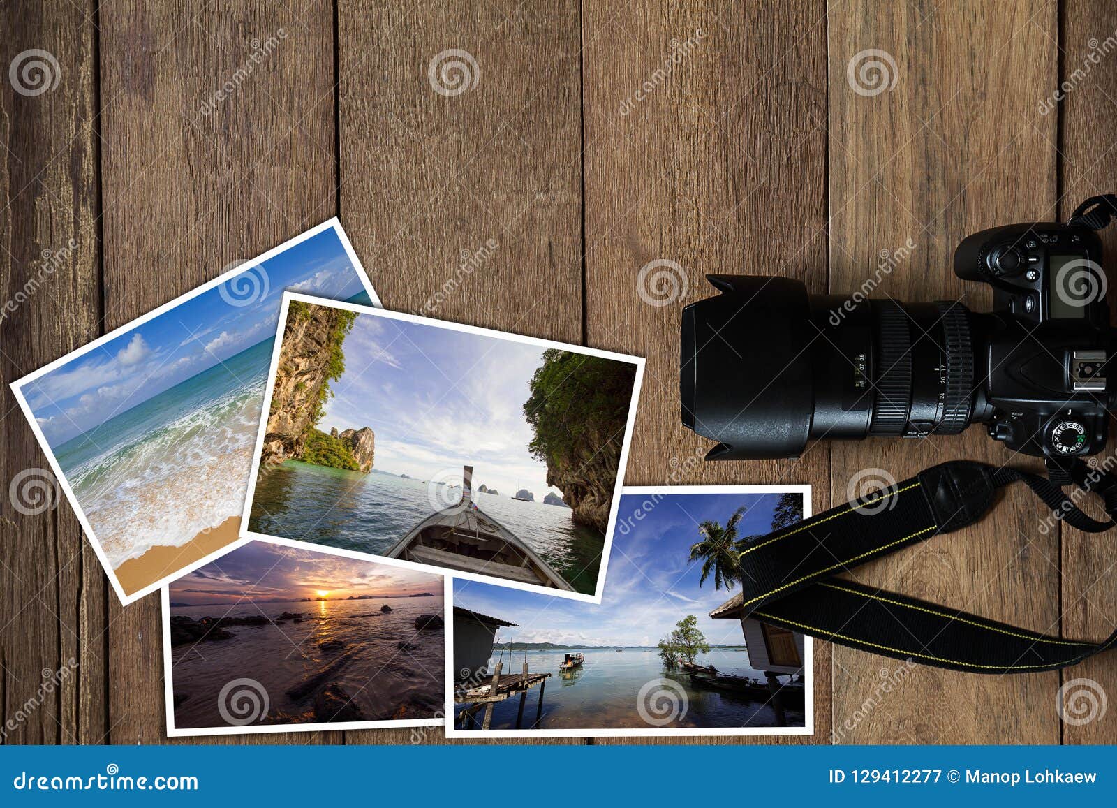 Stack Photos Of Adenium Obesum Royalty-Free Stock Image | CartoonDealer ...