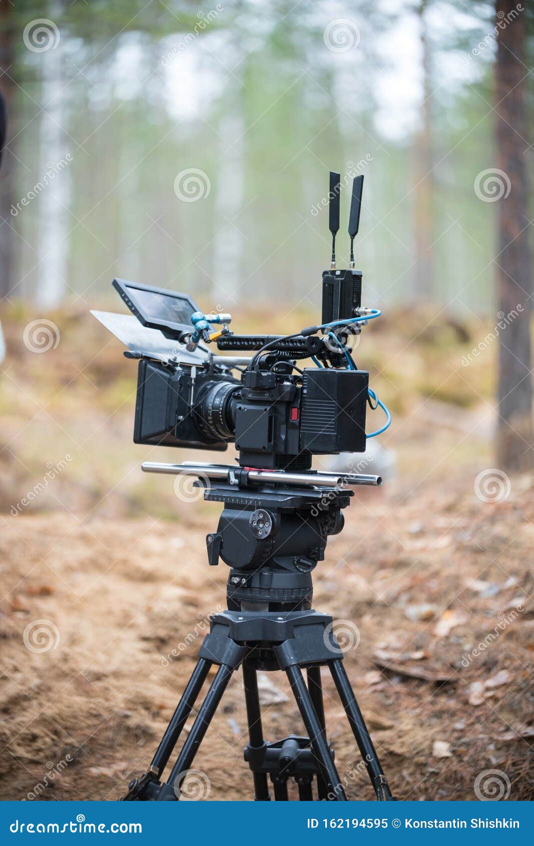 Camera is Standing in the Middle of the Forest Stock Image - Image of ...