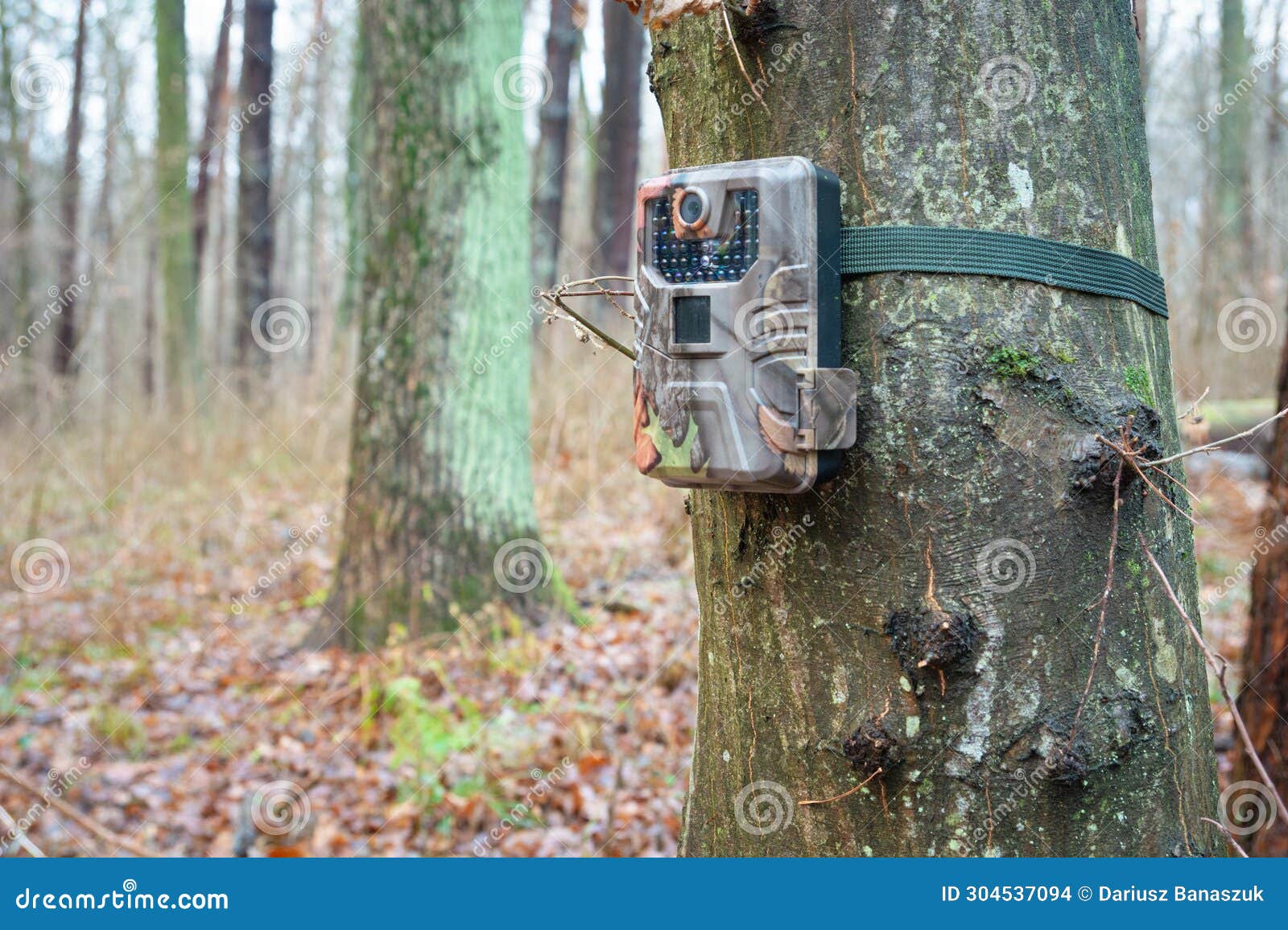 A Camera Trap Hanging on a Tree Stock Photo - Image of forest, animal ...