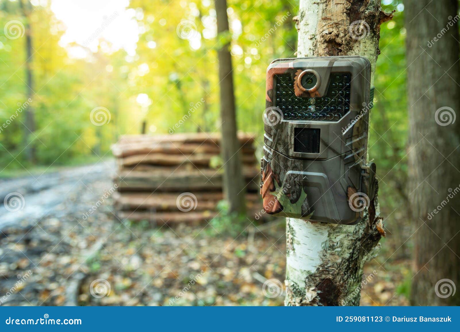 Camera Trap Mounted on a Tree in the Forest Stock Image - Image of ...