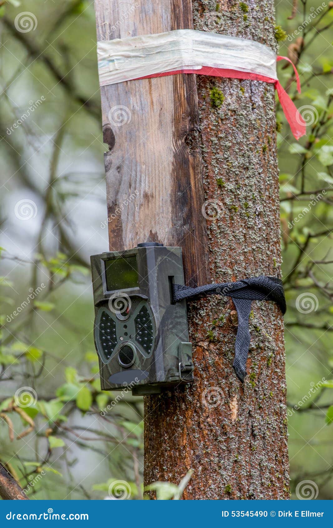 Camera trap stock photo. Image of wildlife, equipped - 53545490