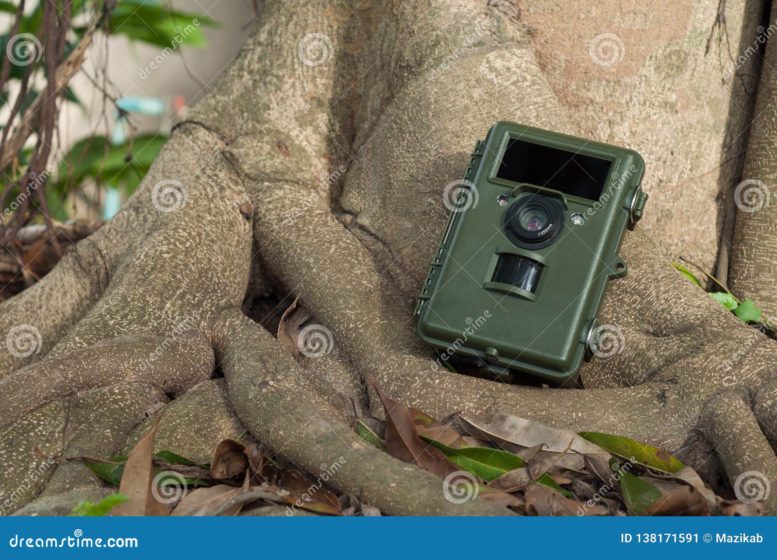 Camera trap stock image. Image of field, infrared, grass - 138171591