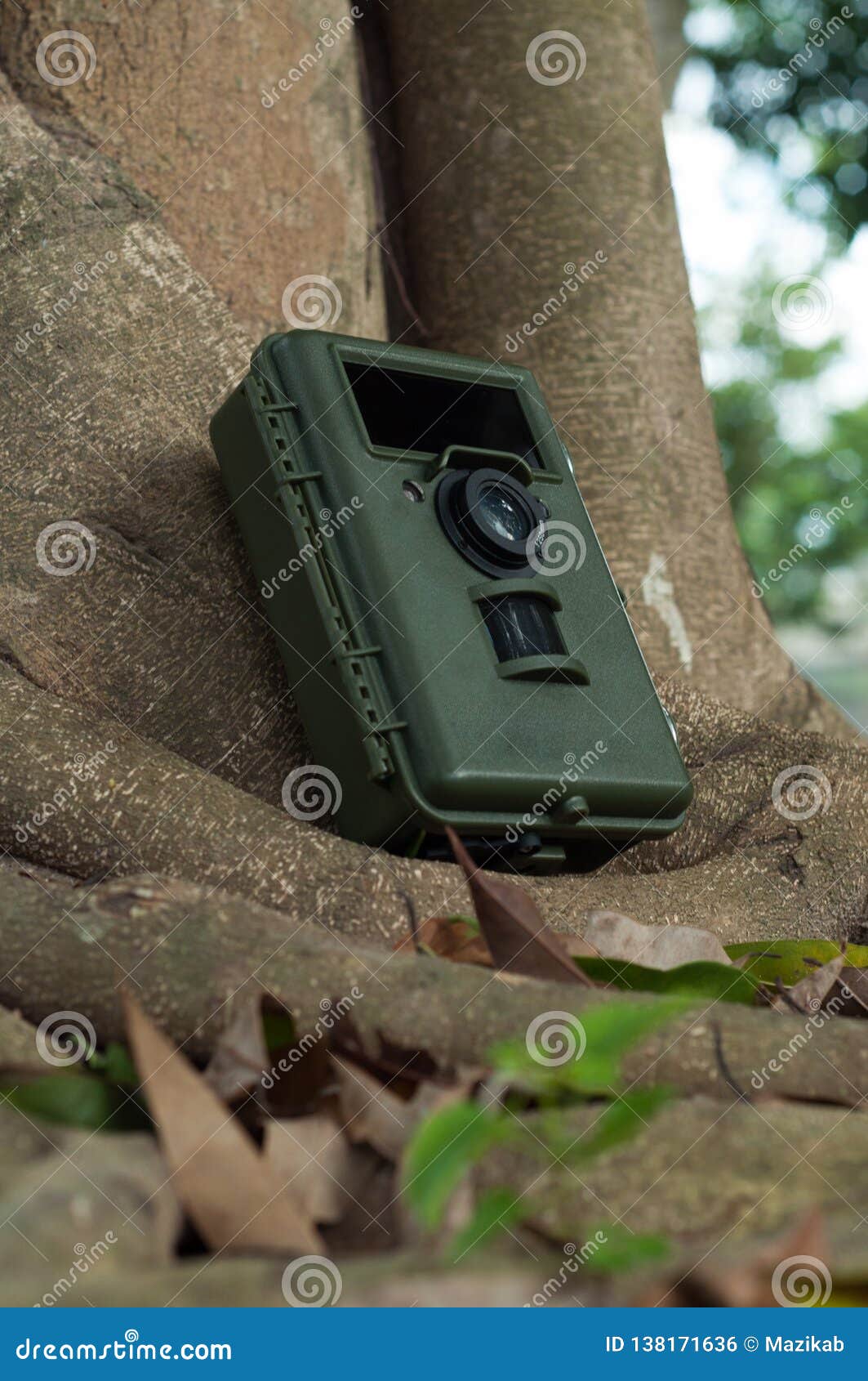 Camera trap stock photo. Image of object, animal, lens - 138171636