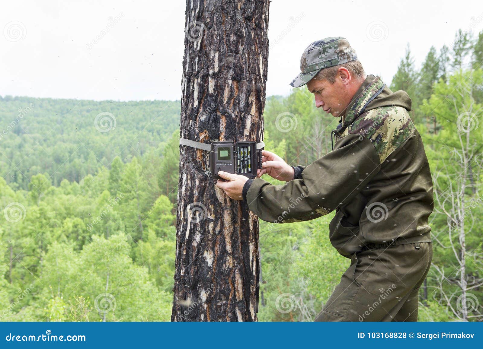 Camera trap on the tree stock photo. Image of security - 103168828