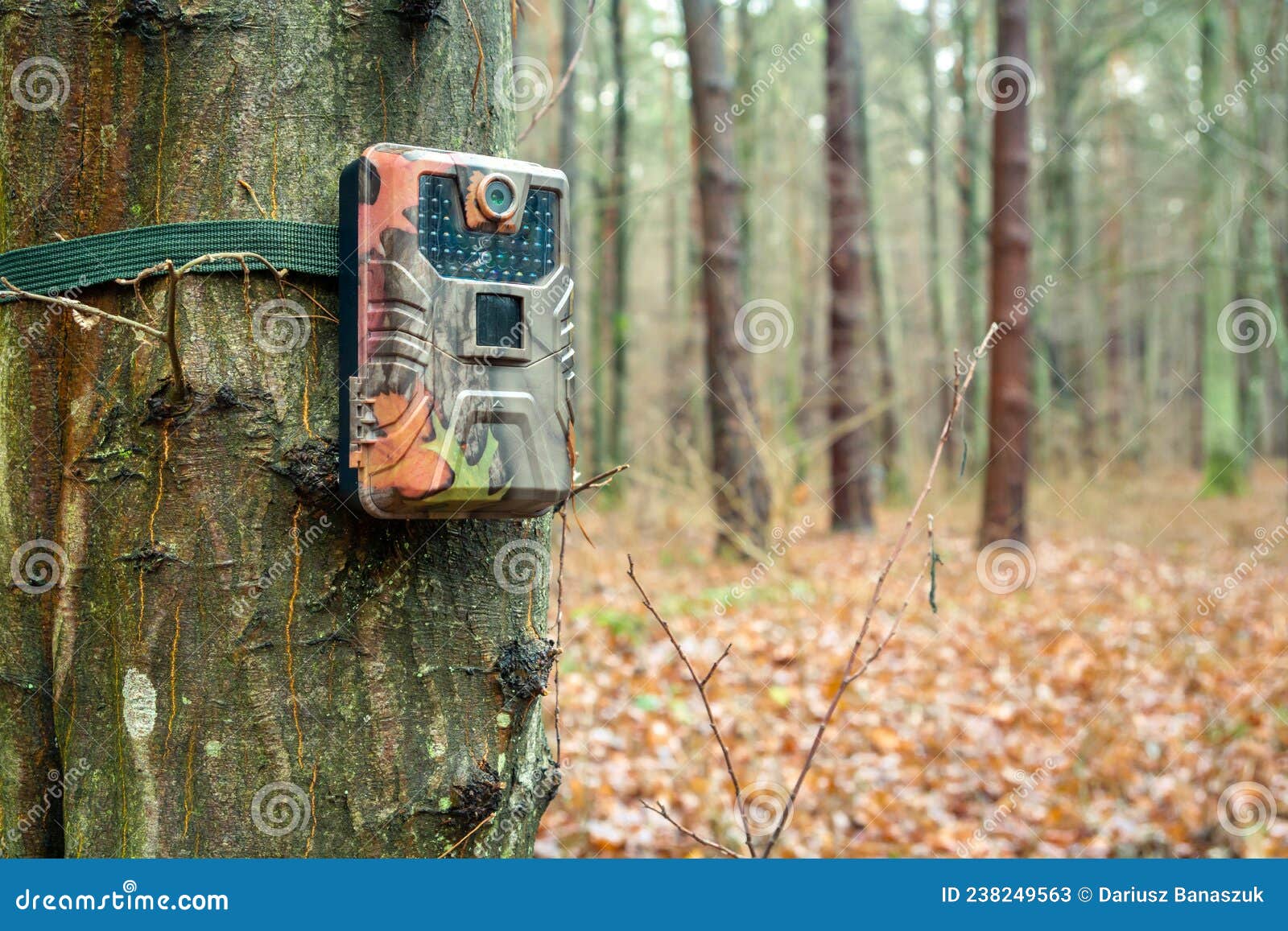Camera Trap on a Tree in the Forest Stock Image - Image of detector ...