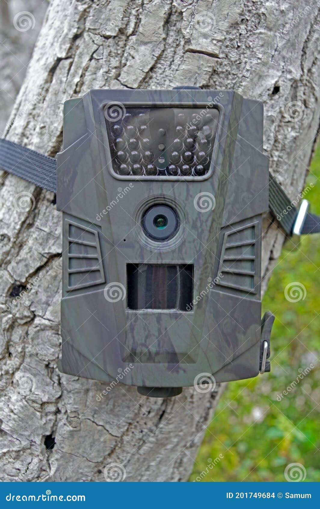 Camera Trap or Trail Camera Stock Photo - Image of system, animal ...