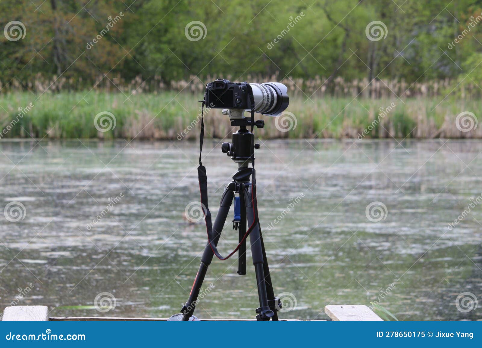 Camera on Tripod Shooting with Point of the Focus on Rear of the Camera ...