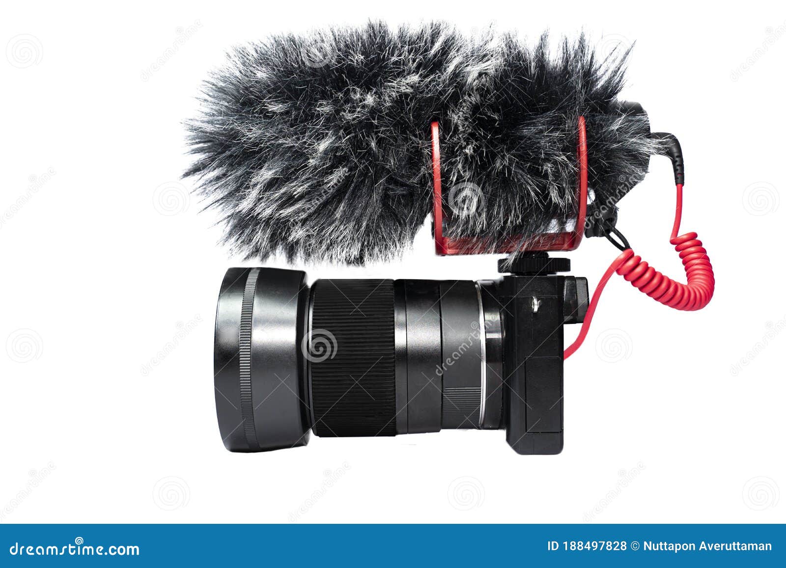 Camera Video Recording with a Professional Mic or Shotgun Mic for ...