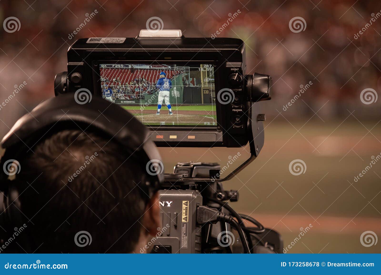 Cameraman editorial stock photo. Image of beisbol, techo - 173258678