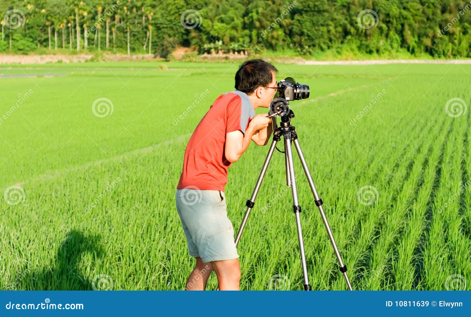 Cameraman Work in the Countryside Stock Image - Image of male, natural ...