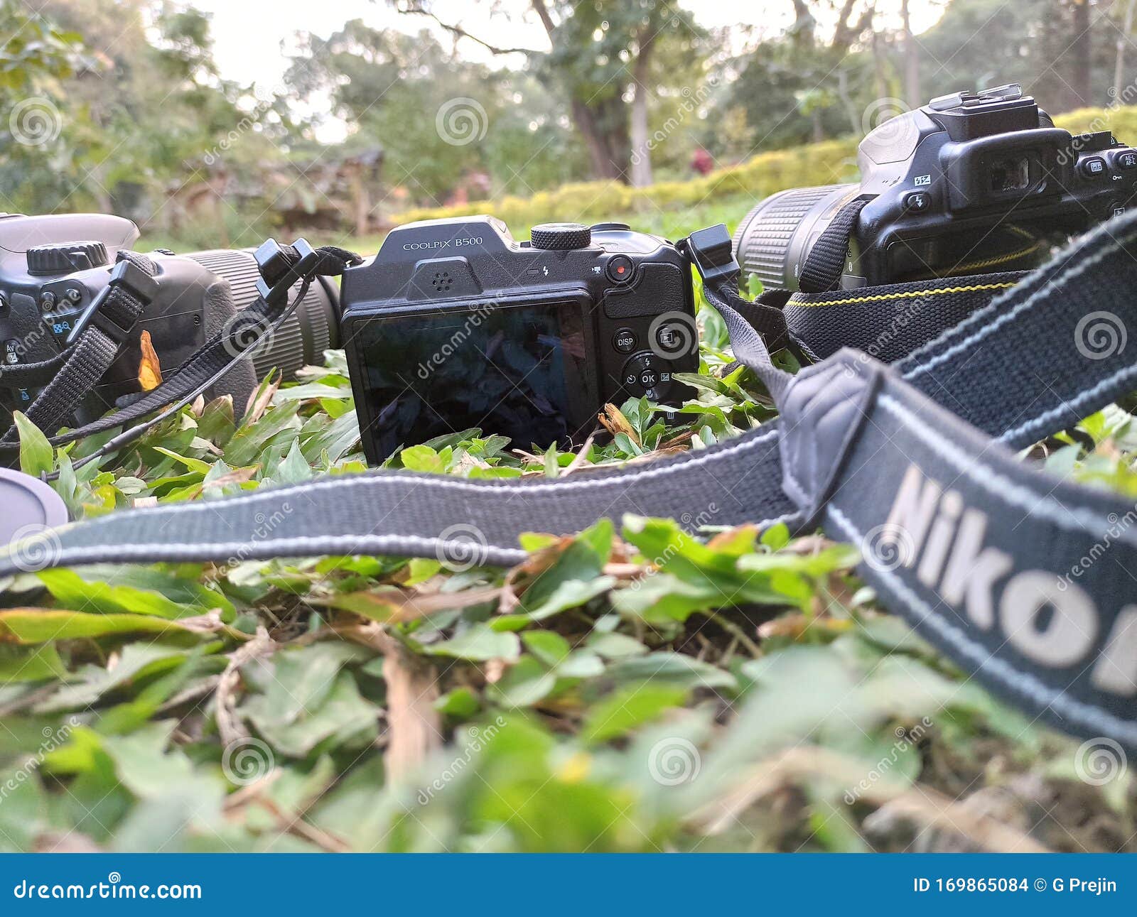 Cameras lying on the grass editorial stock image. Image of park - 169865084