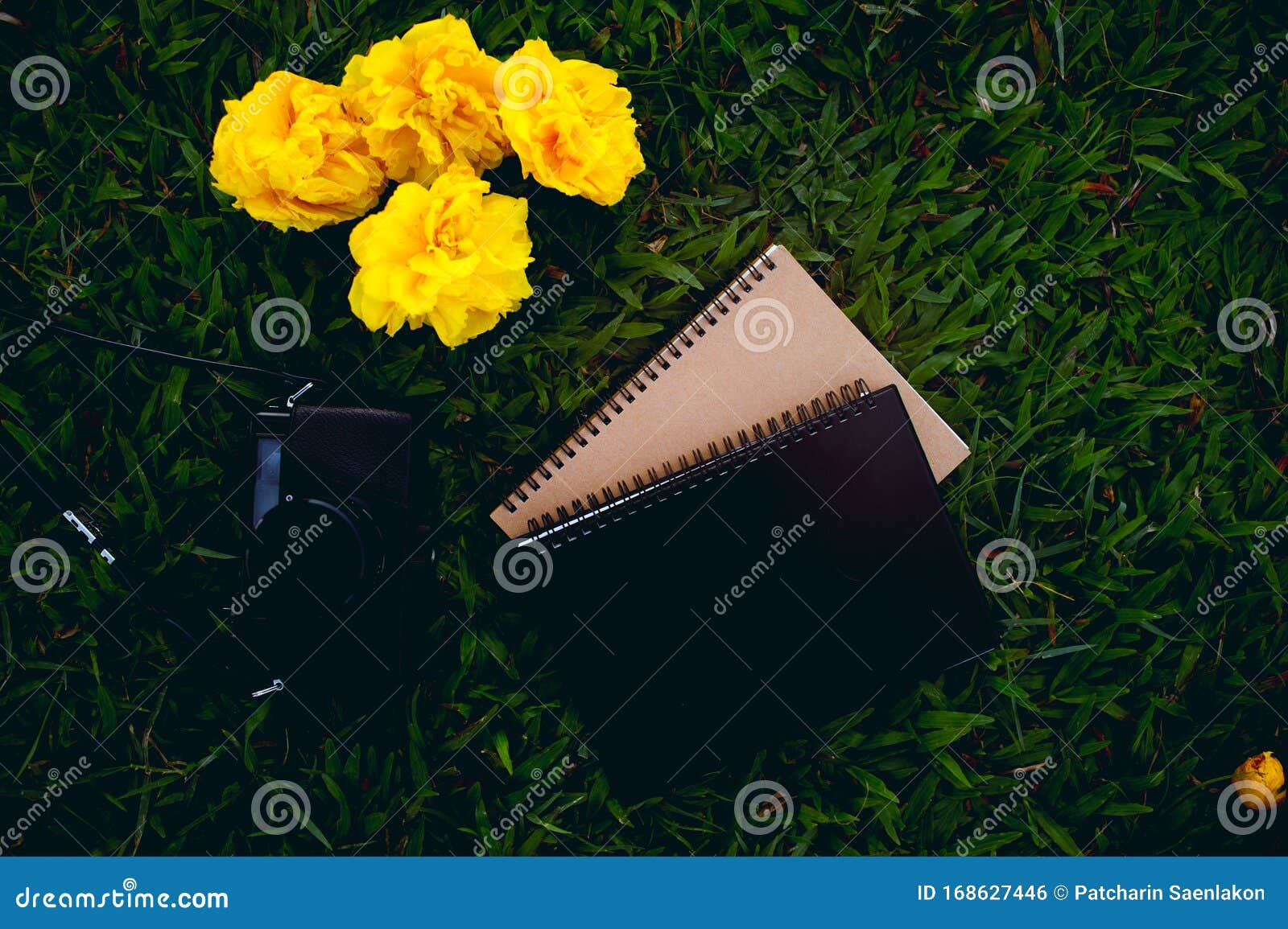 Cameras Top Angle Shot, Shadow Picture, Soft Light Stock Photo - Image ...