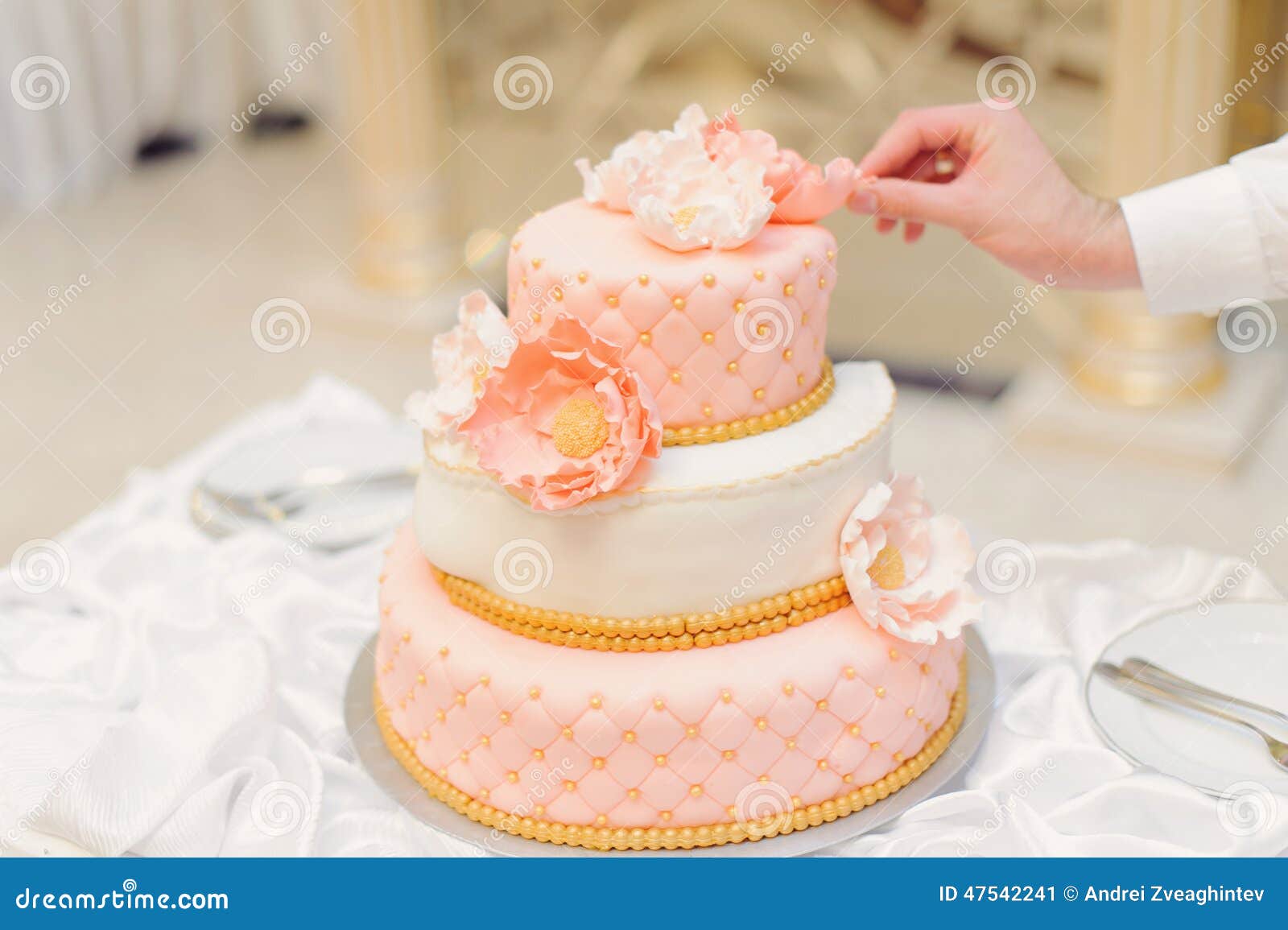 Cameriere Touching Cake immagine stock. Immagine di persona - 47542241
