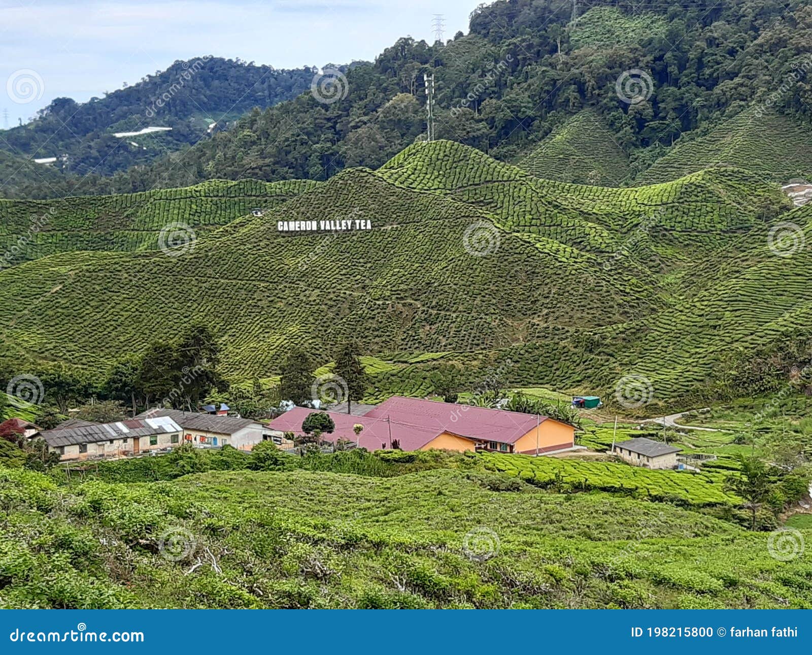 CAMERON HIGHLAND, MALAYSIA - FEBRUARY 2019 : Tourists Shop In The Local ...