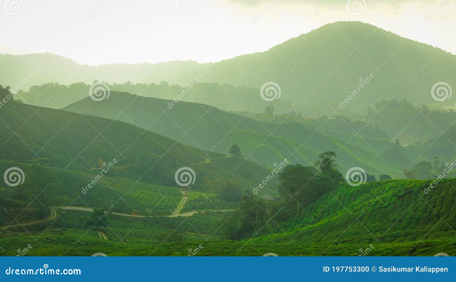 Royalty Free Images, Cartoons, Illustrations And Photos Designed By ...