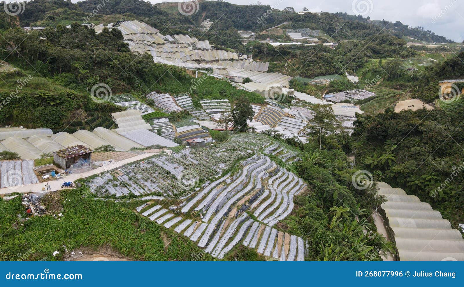 Cameron Highlands, Pahang Malaysia Stock Photo - Image of condominium ...
