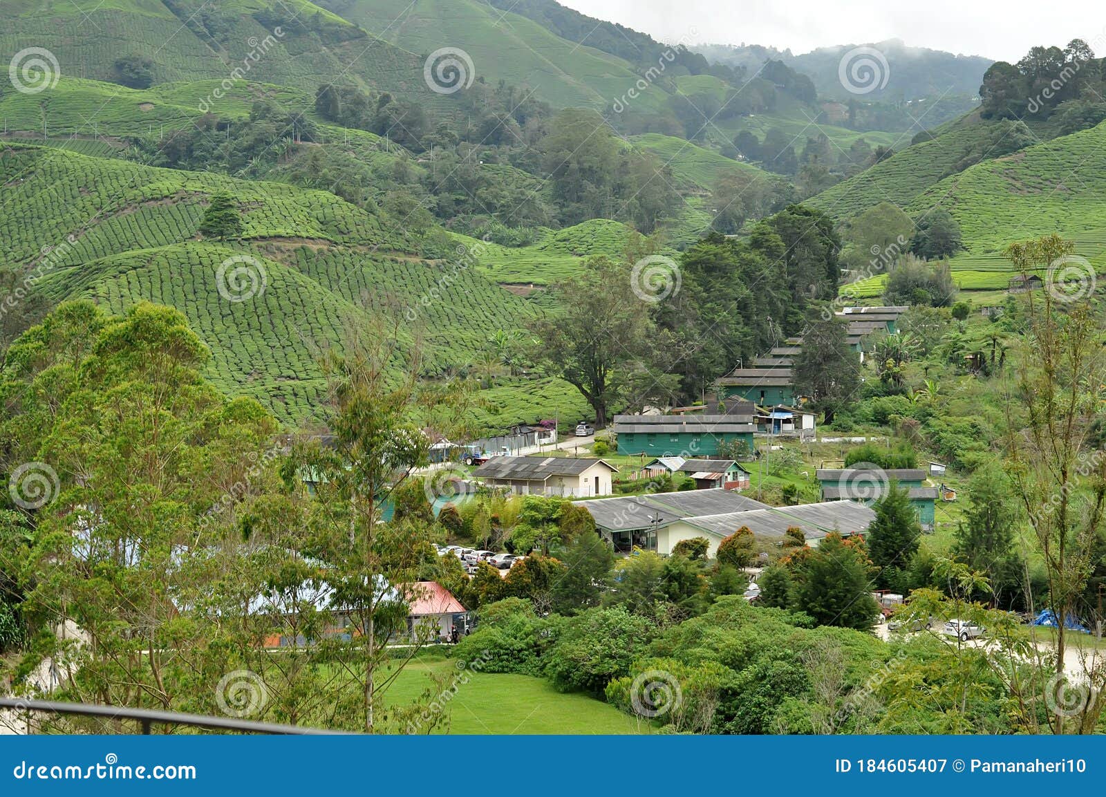 Cameron Valley at January 2020 Editorial Photography - Image of january ...