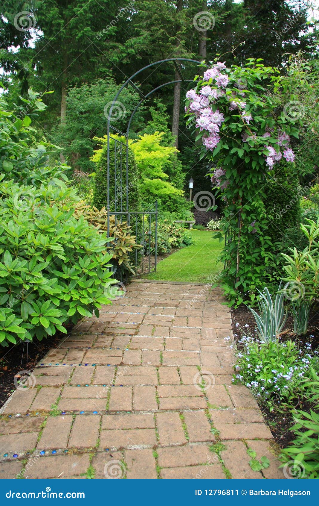 Camino bonito del jardín imagen de archivo. Imagen de enrejado - 12796811