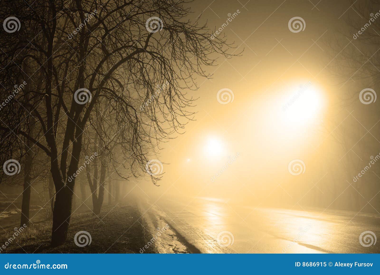 Camino brumoso imagen de archivo. Imagen de recorrido - 8686915