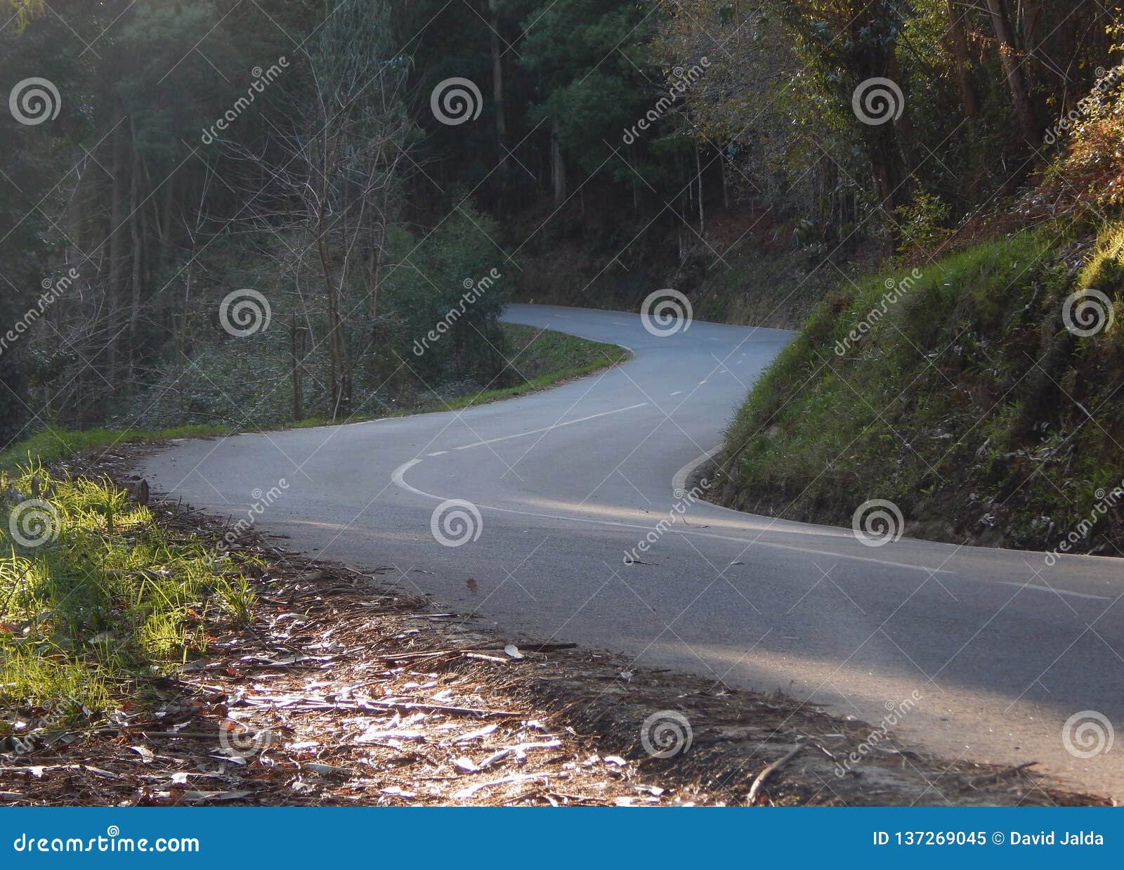 Camino con la curva en s imagen de archivo. Imagen de cubo - 137269045