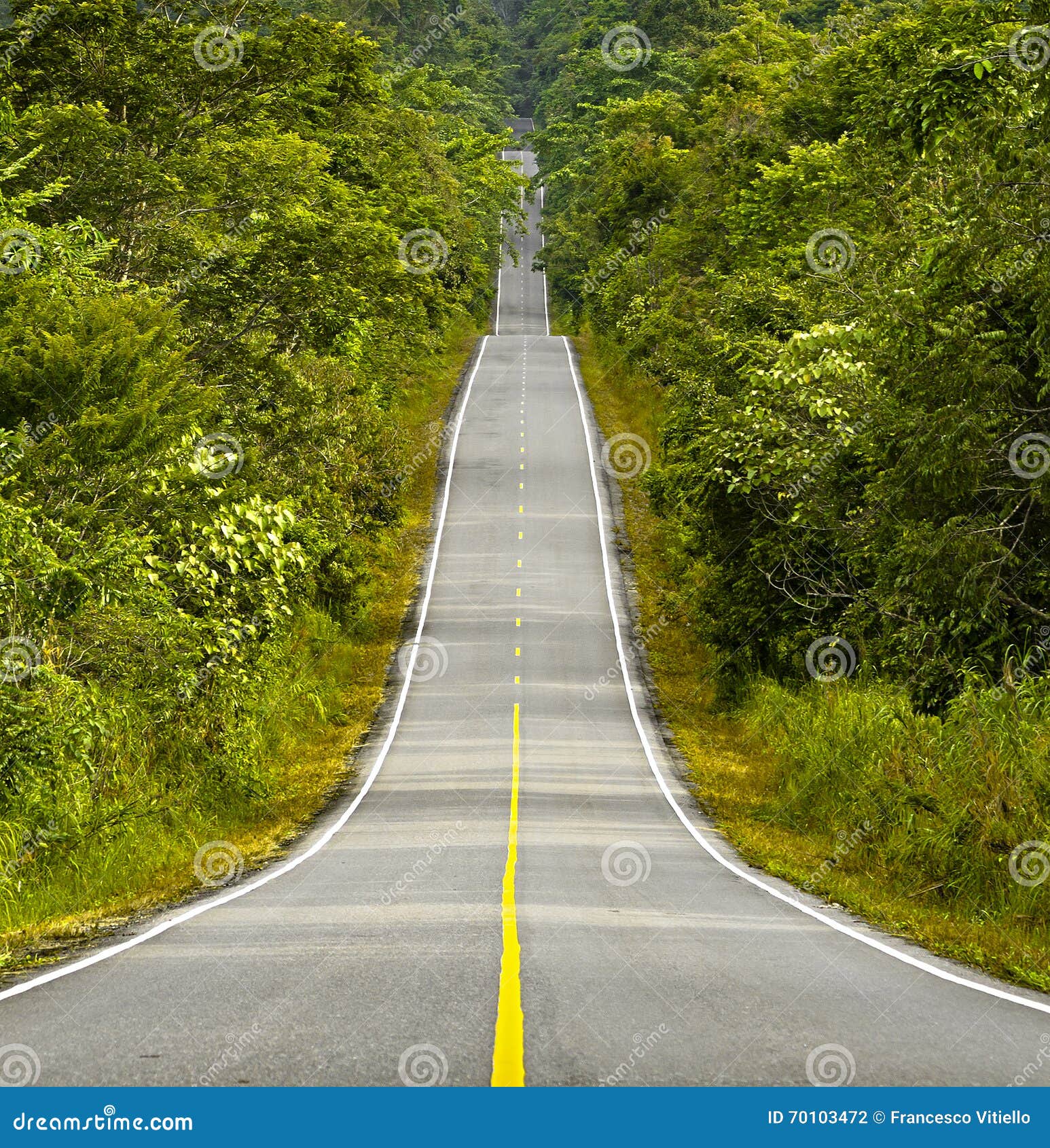 Camino largo foto de archivo. Imagen de manera, paso - 70103472