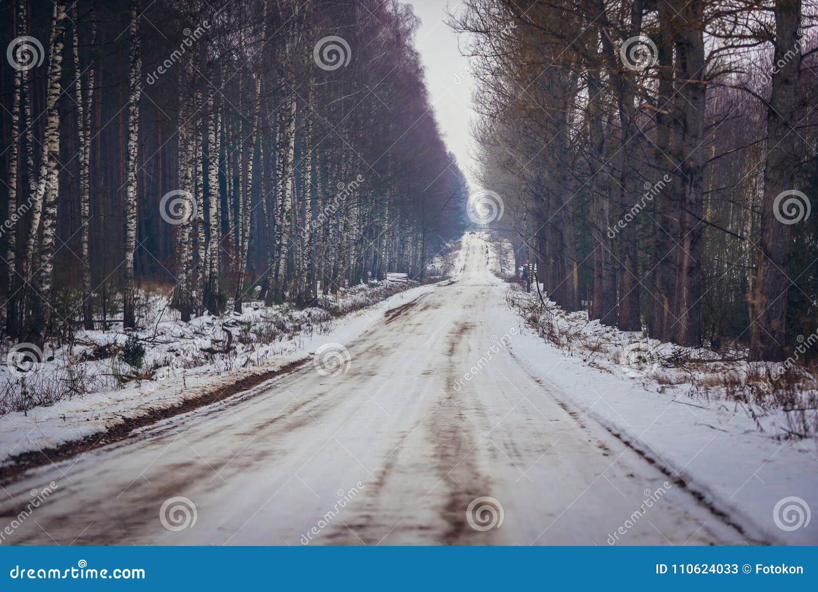 Camino lateral en Polonia imagen de archivo. Imagen de paisaje - 110624033