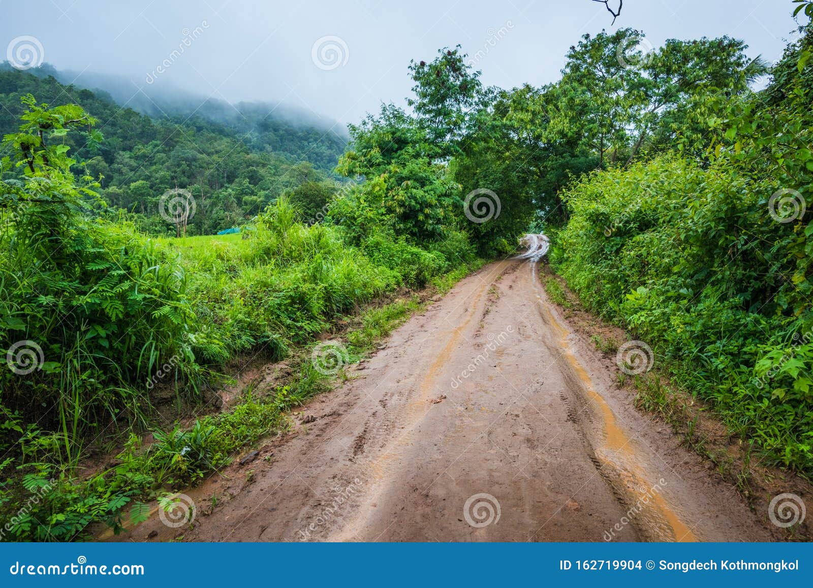 Camino lodoso foto de archivo. Imagen de rural, suciedad - 162719904