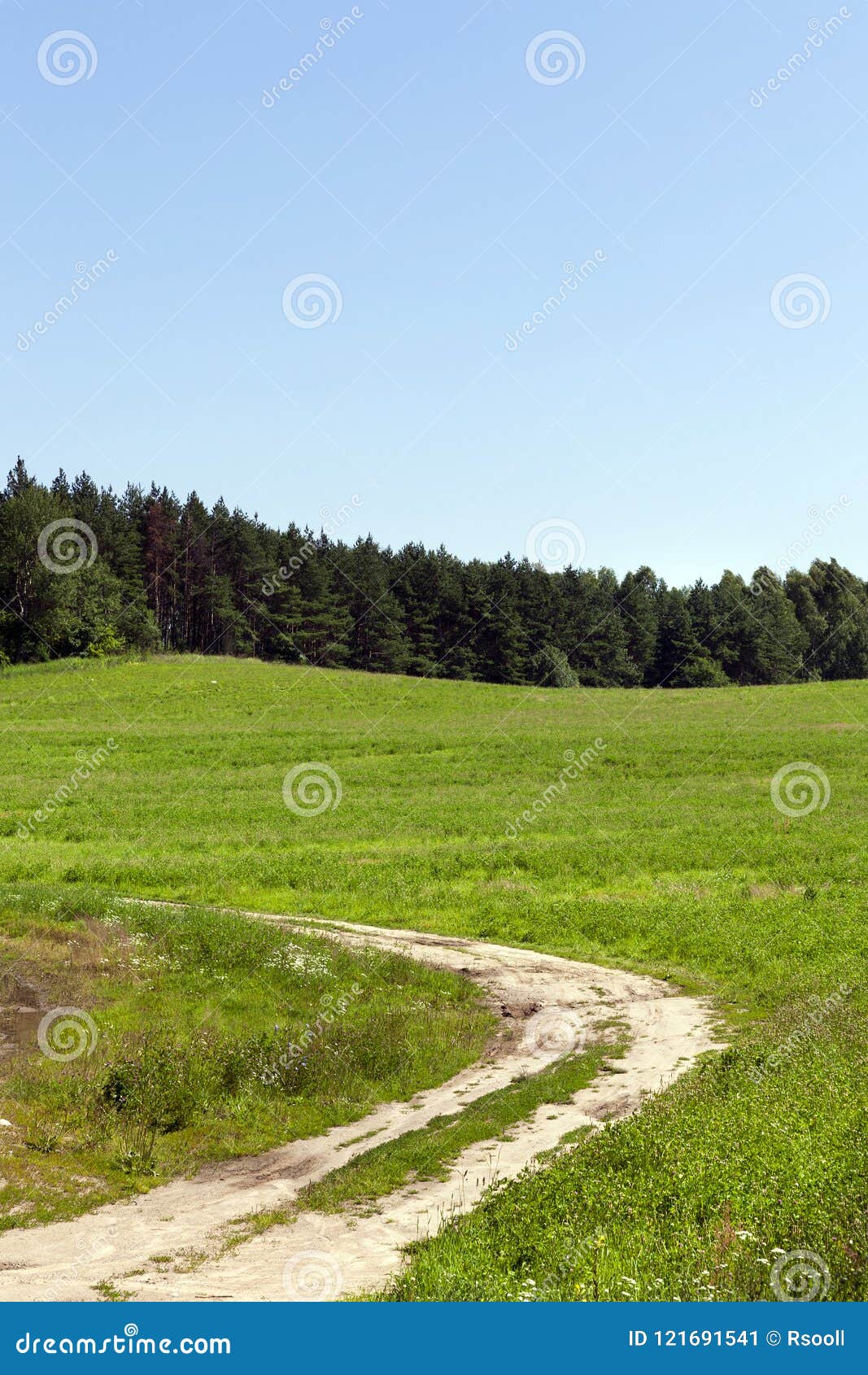 Camino rural imagen de archivo. Imagen de verano, cubo - 121691541