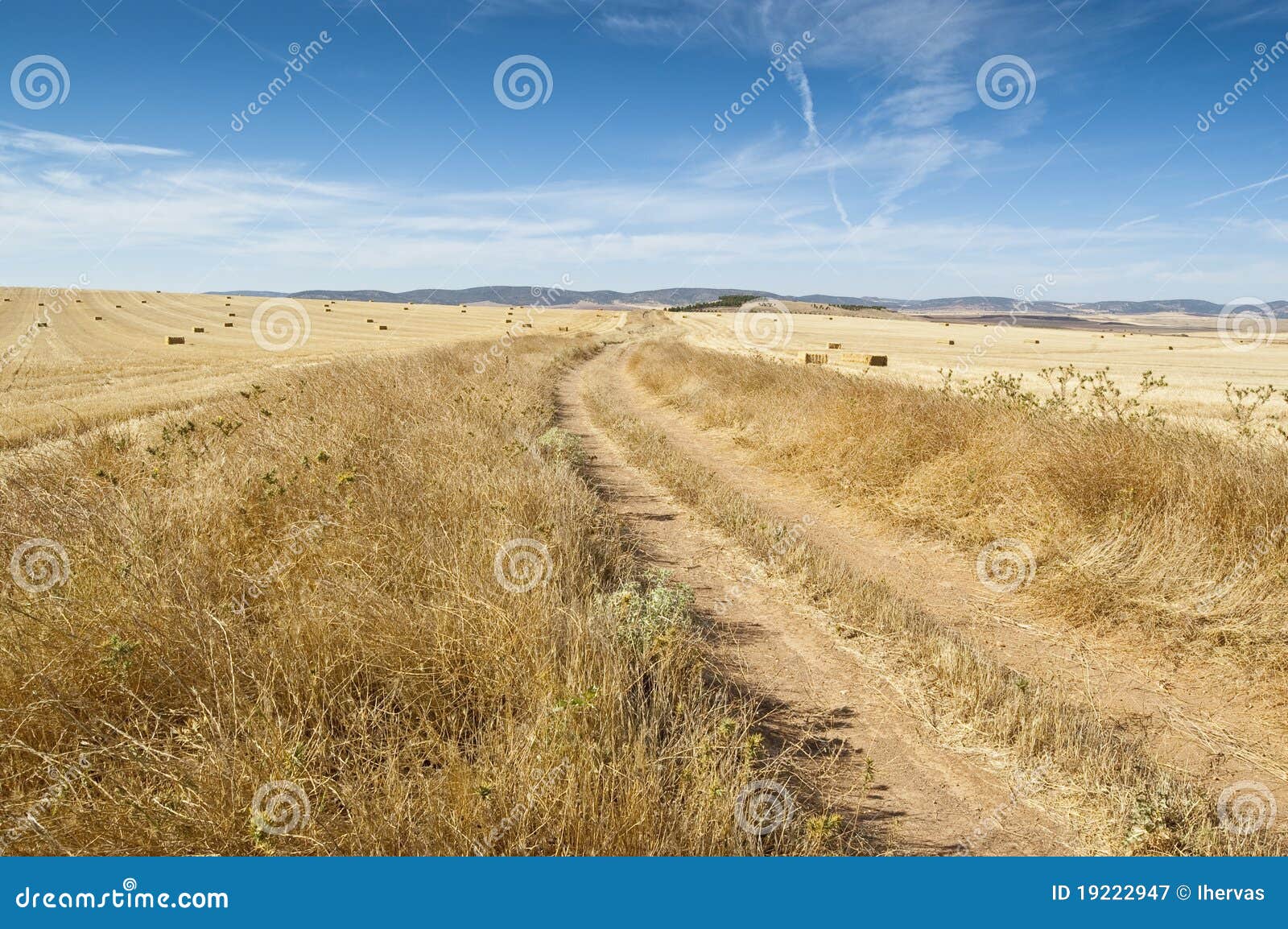 Camino rural imagen de archivo. Imagen de cosecha, paisaje - 19222947