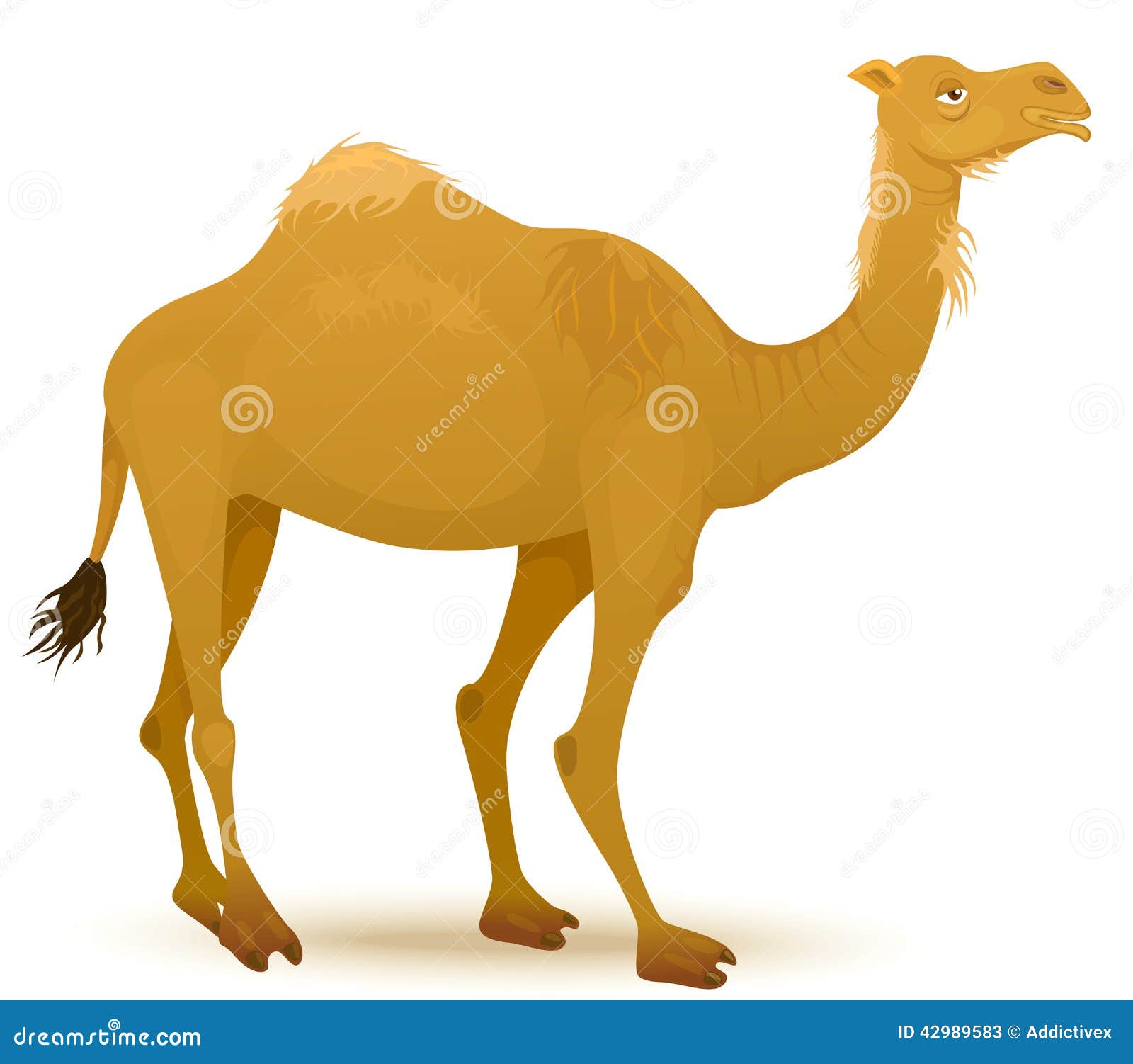 Cammello illustrazione di stock. Illustrazione di marrone - 42989583