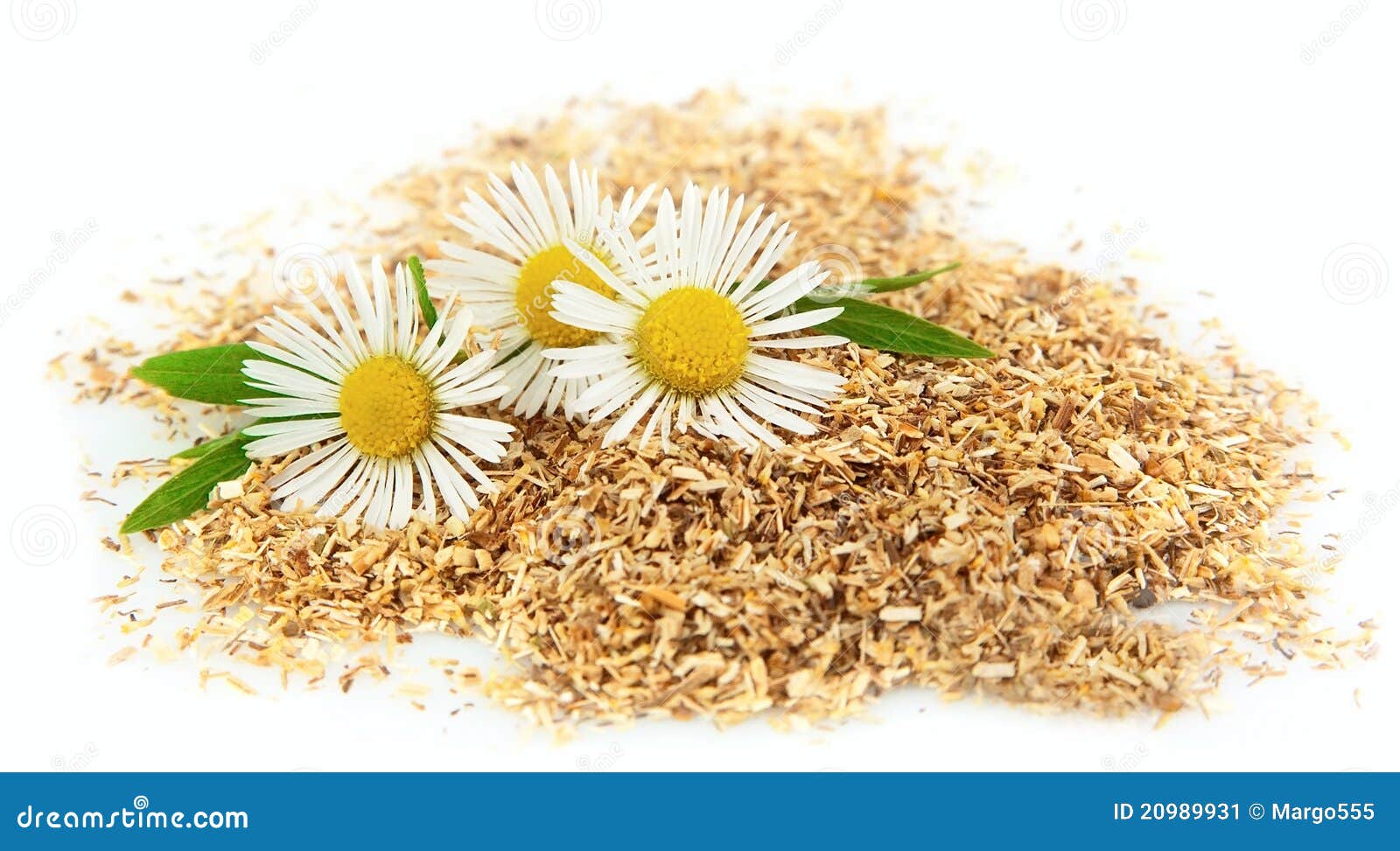 Camomile stock image. Image of still, herbal, healthy - 20989931