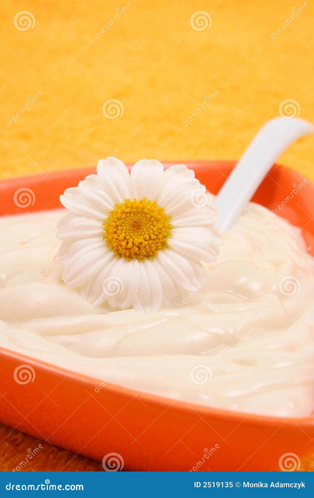 Camomile cream stock image. Image of blossoms, medical - 2519135