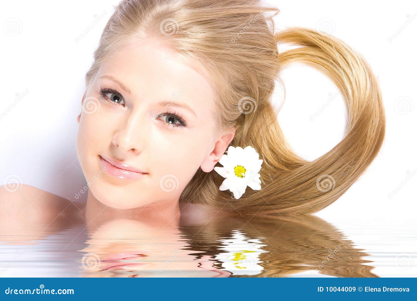 Camomile Girl Reflection in Water Stock Image - Image of delicate ...