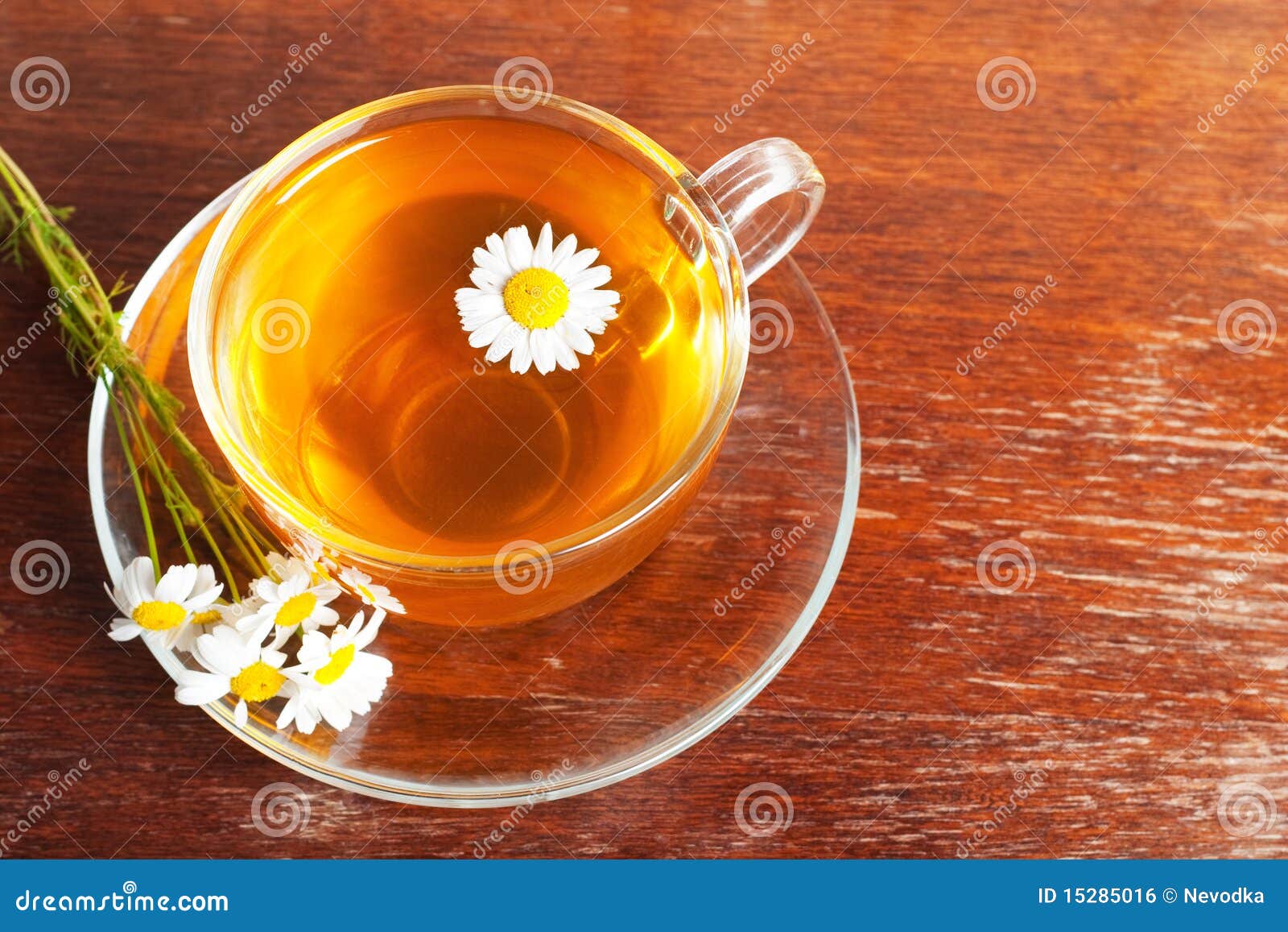 Camomile tea stock photo. Image of organic, glass, aromatherapy - 15285016