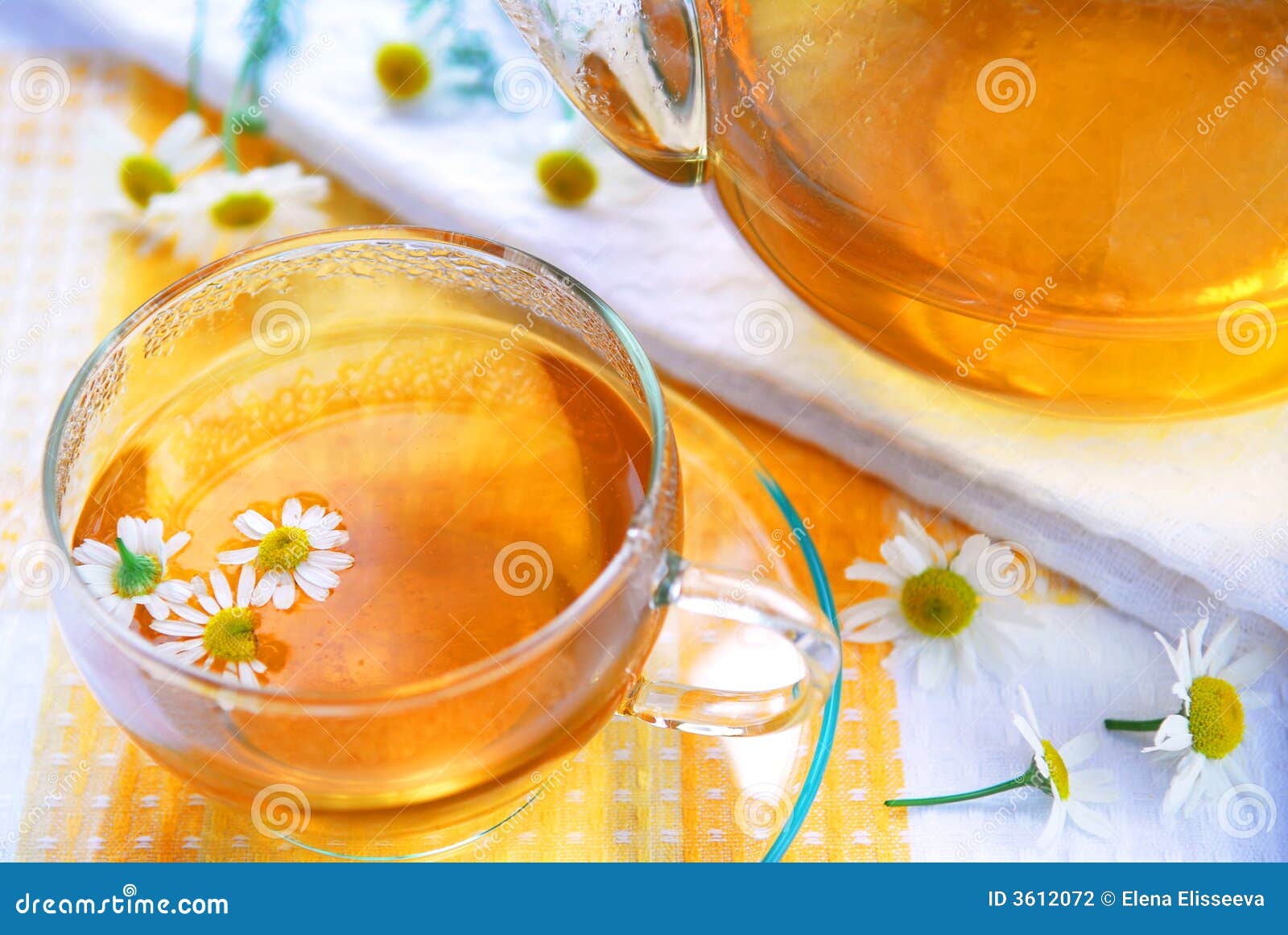 Camomile tea stock photo. Image of fresh, daisies, daisy - 3612072