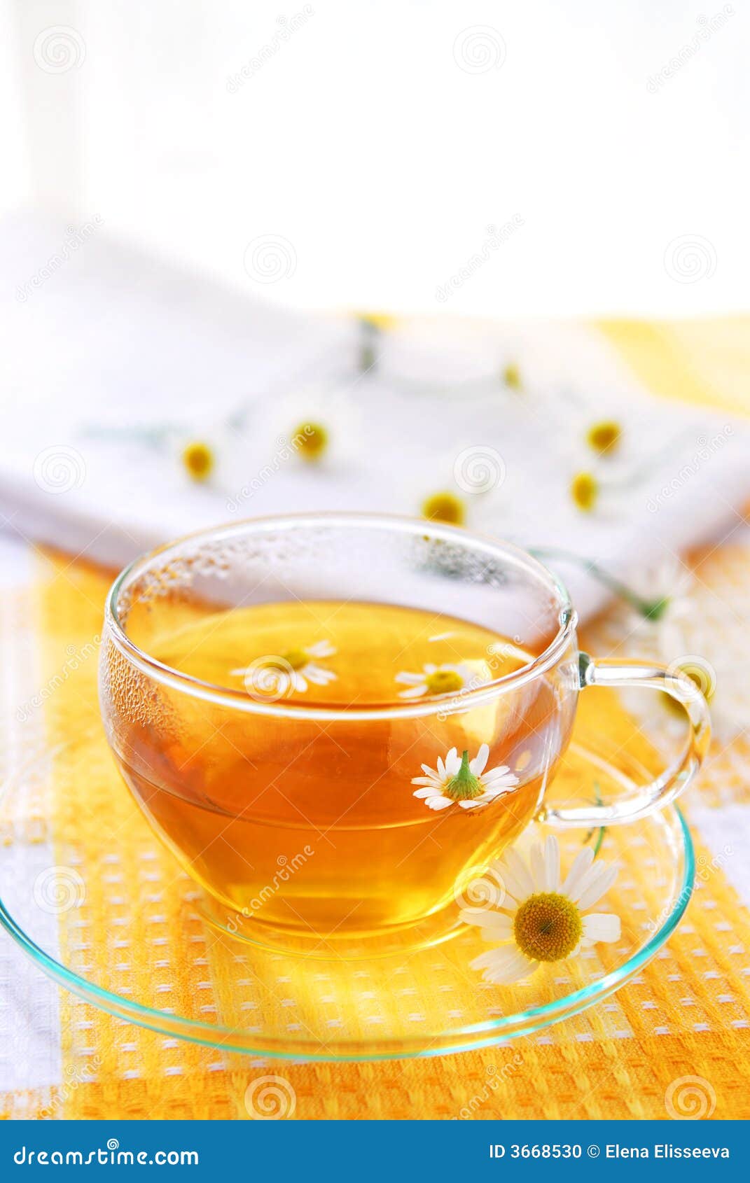 Camomile tea stock photo. Image of beverage, medicine - 3668530