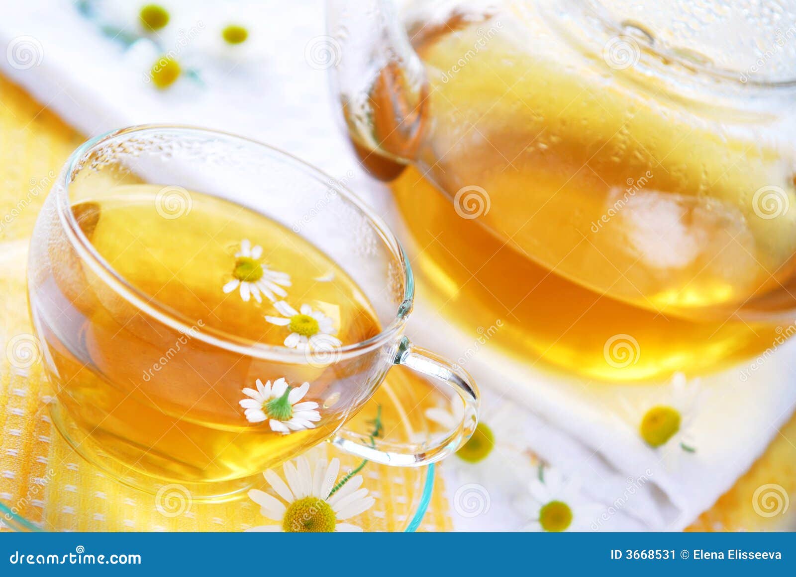 Camomile tea stock image. Image of freshness, camomile - 3668531