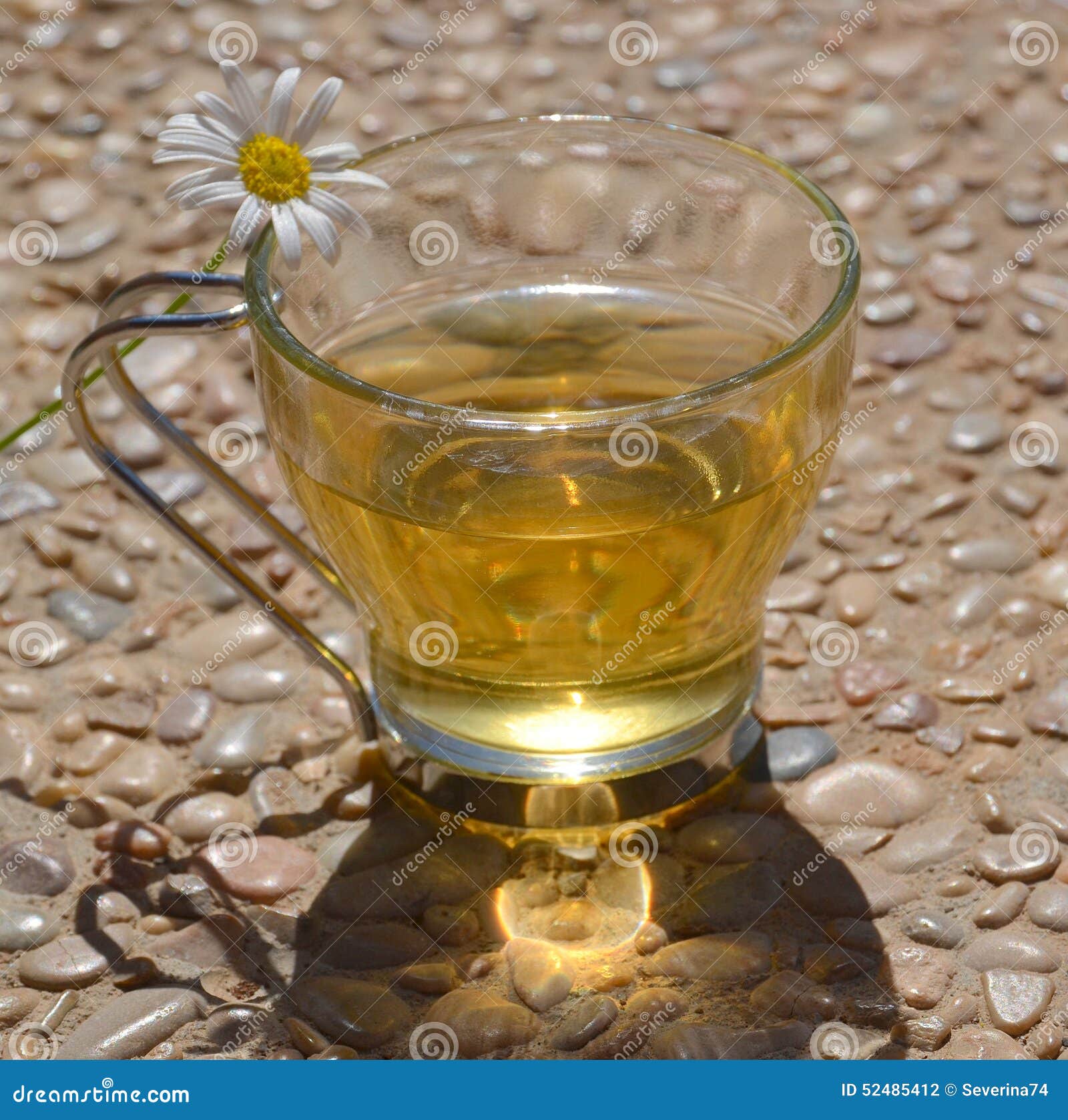 Camomile tea. stock photo. Image of medicinal, medicine - 52485412