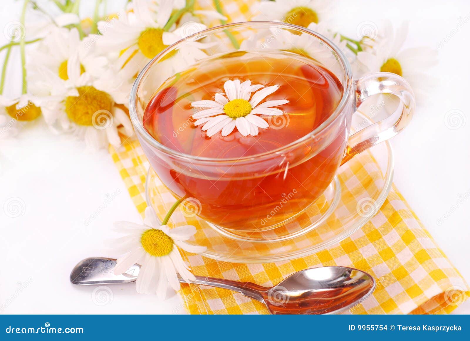 Camomile tea in glass stock photo. Image of glass, herbal - 9955754