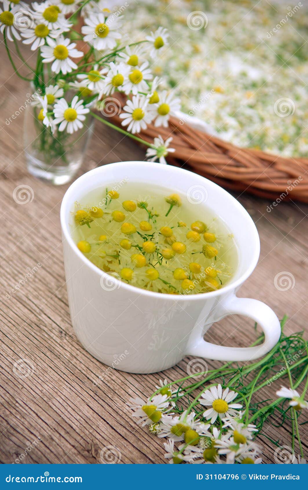 Camomile tea stock photo. Image of herb, medical, table - 31104796