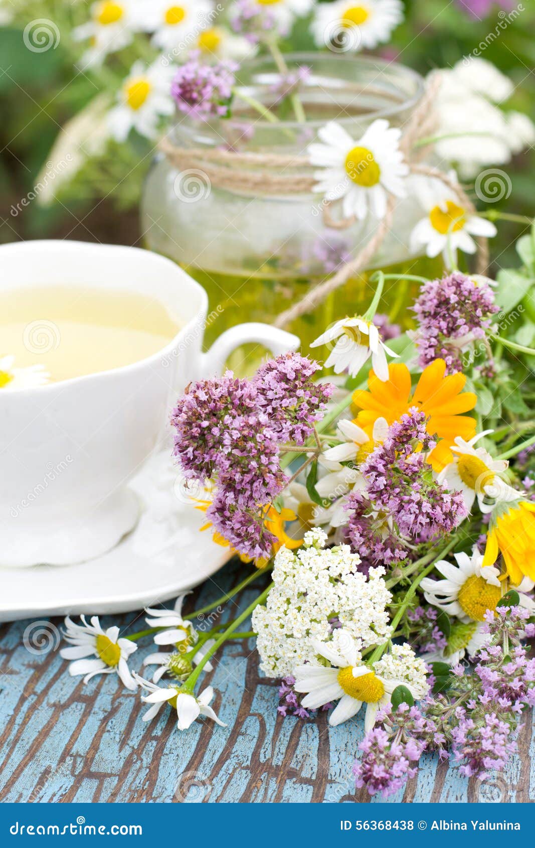 Camomile tea stock photo. Image of health, plant, green - 56368438