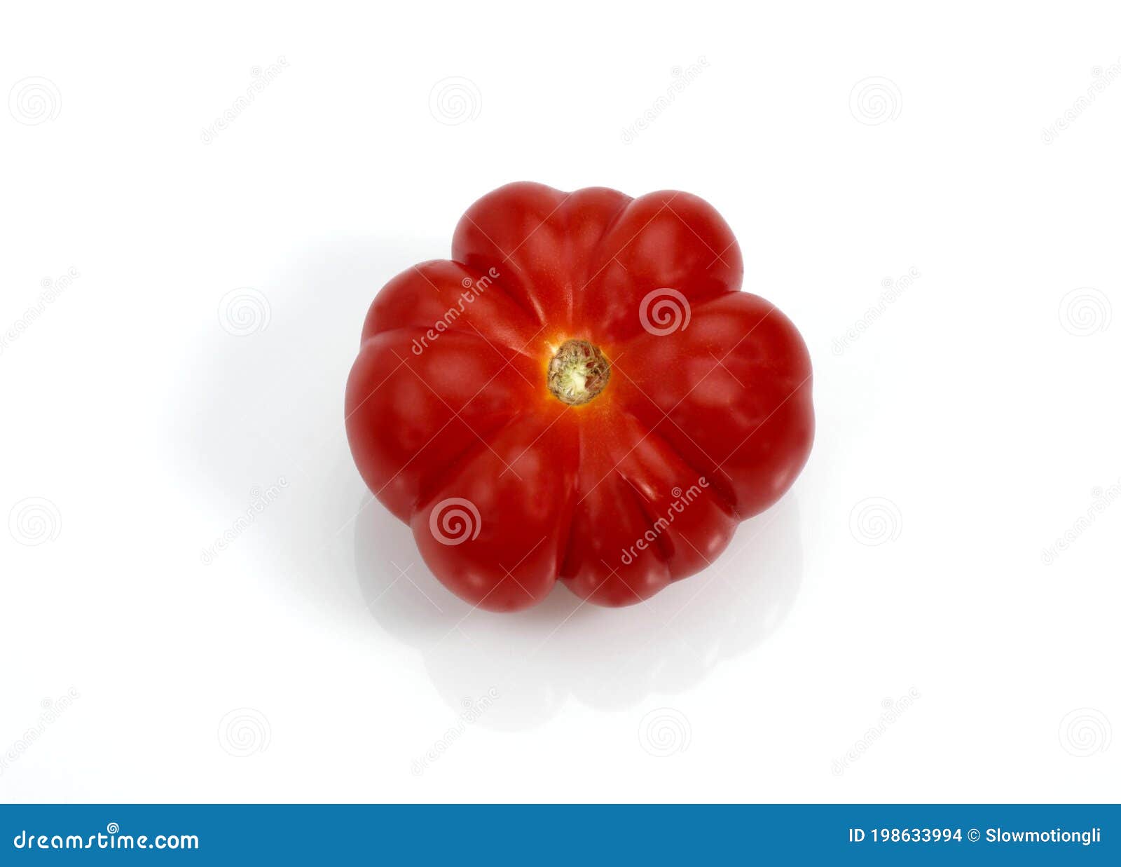 Camone Tomato, Solanum Lycopersicum Against White Background Stock ...