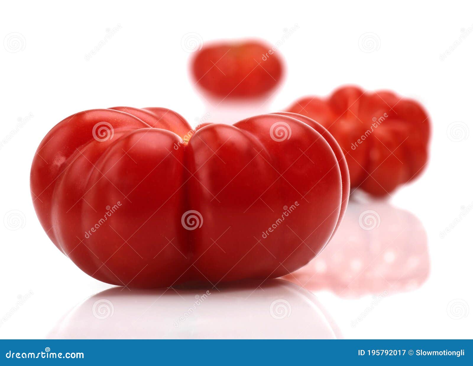 Camone Tomatoes, Solanum Lycopersicum, Vegetable Against White ...
