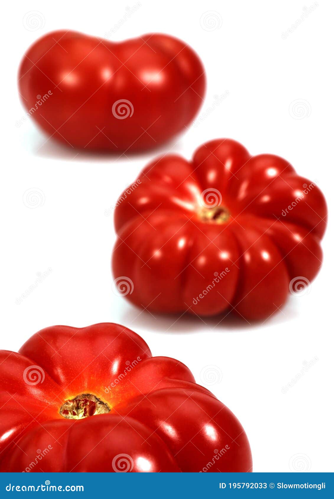 Camone Tomatoes, Solanum Lycopersicum, Vegetable Against White ...