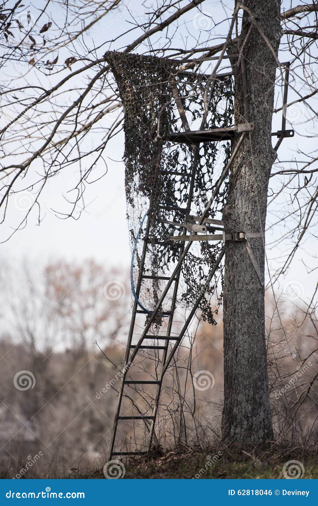 Camouflaged deer hide stock photo. Image of leaves, netting - 62818046