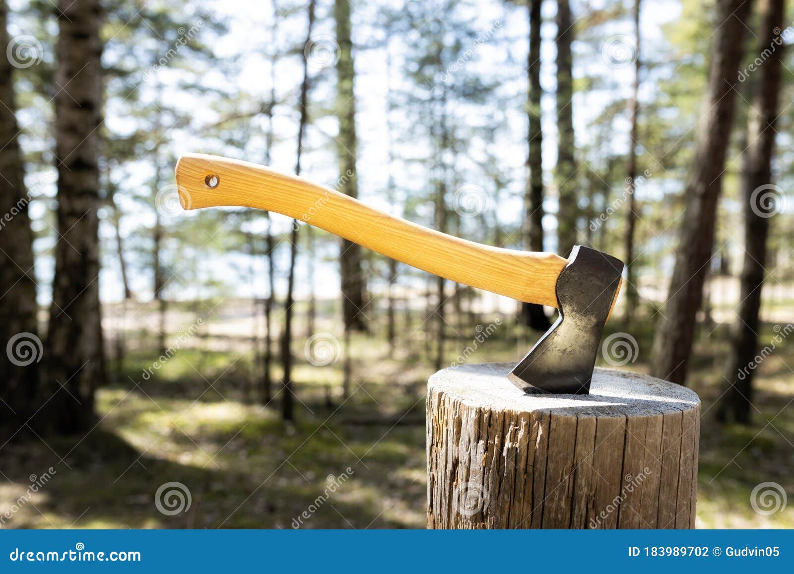 Camp Axe Stuck in the Stump in Forest. Stump and Axe in Sunny Weather ...