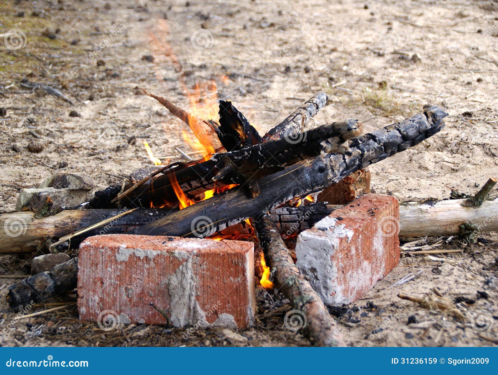 Camp bonfire in the forest stock image. Image of place - 31236159