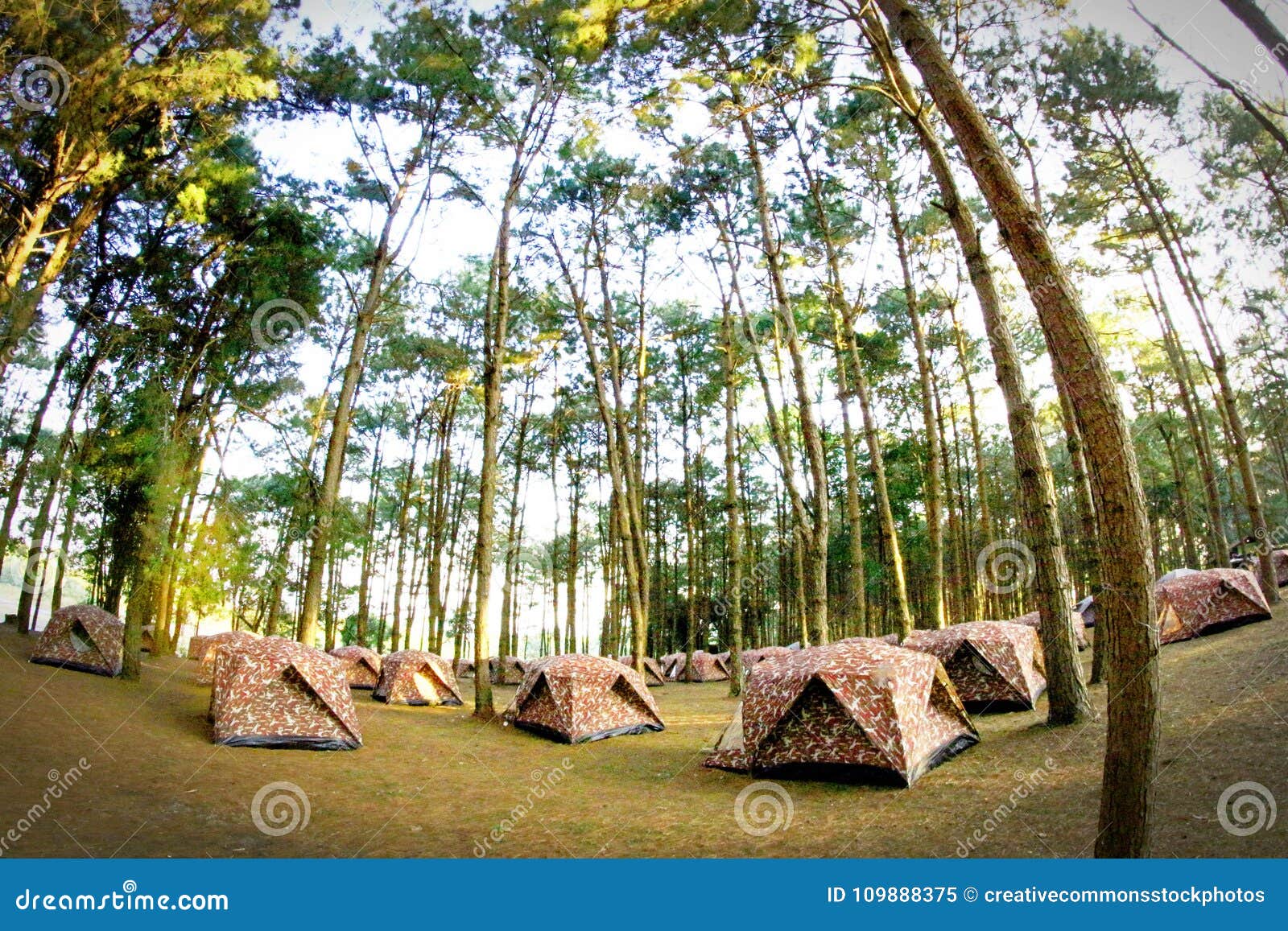 Camp, Camping, Environment Picture. Image: 109888375