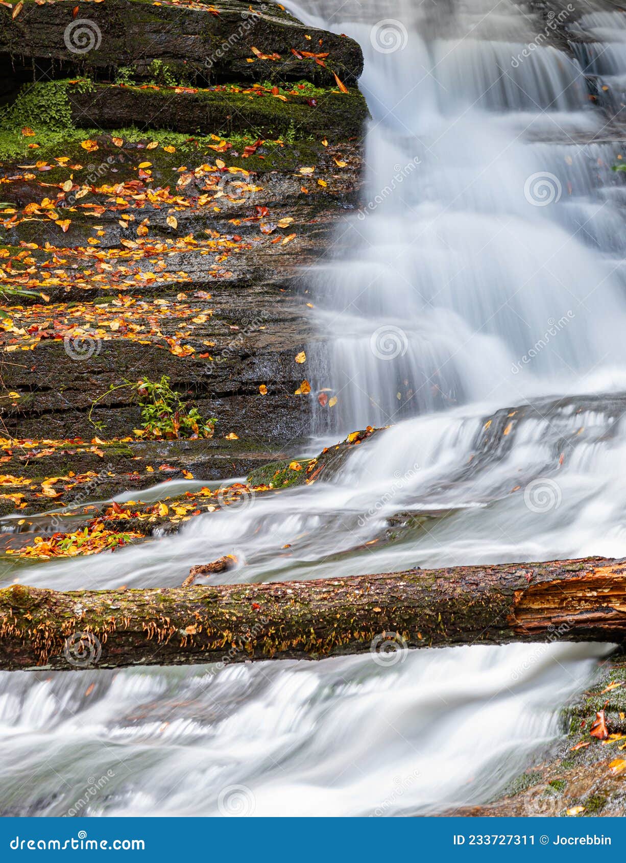 Camp Creek Waterfall with Fallen Tree Trunk and Orange Leaves Stock ...