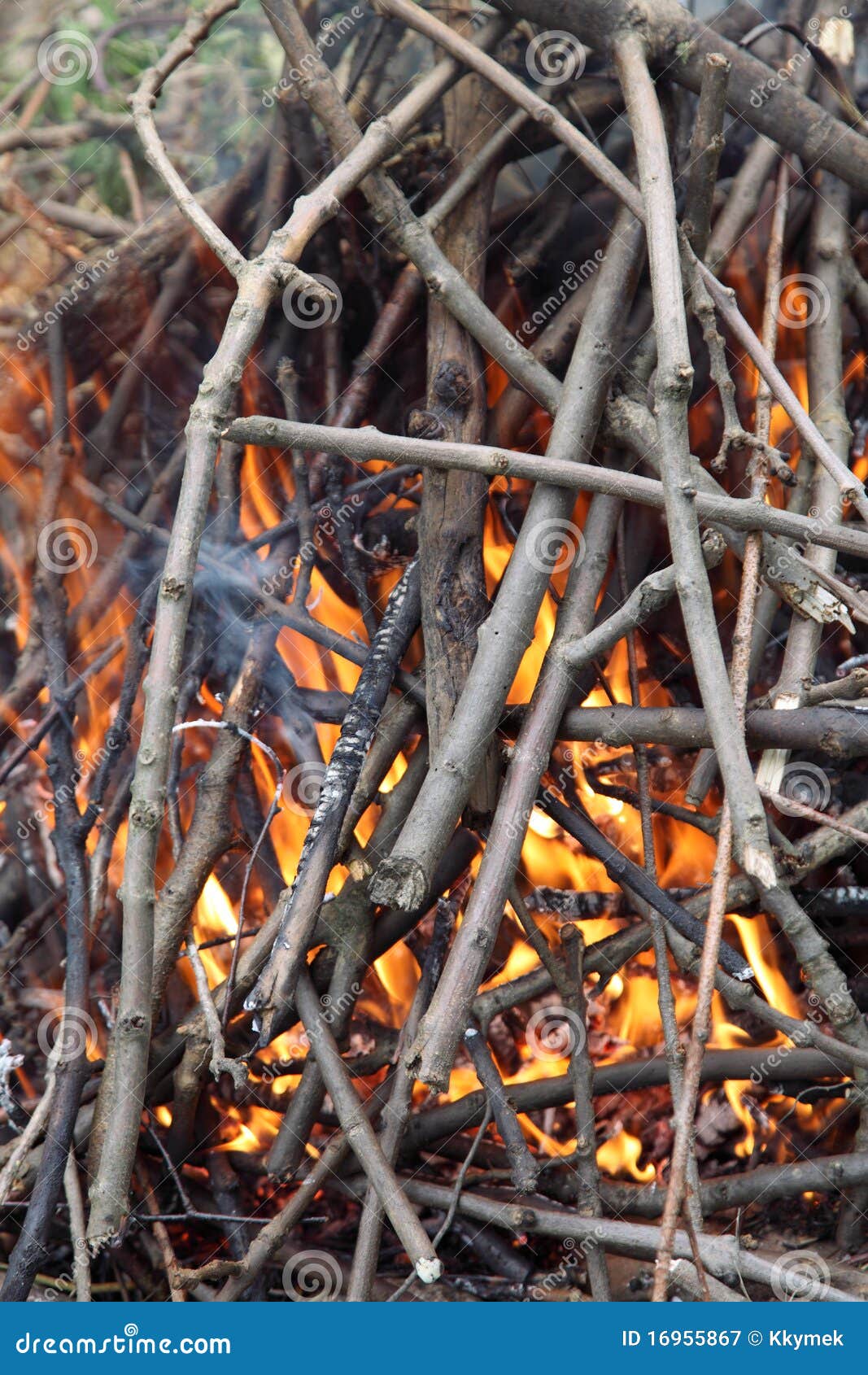 Camp fire stock image. Image of fireside, fuel, energy - 16955867